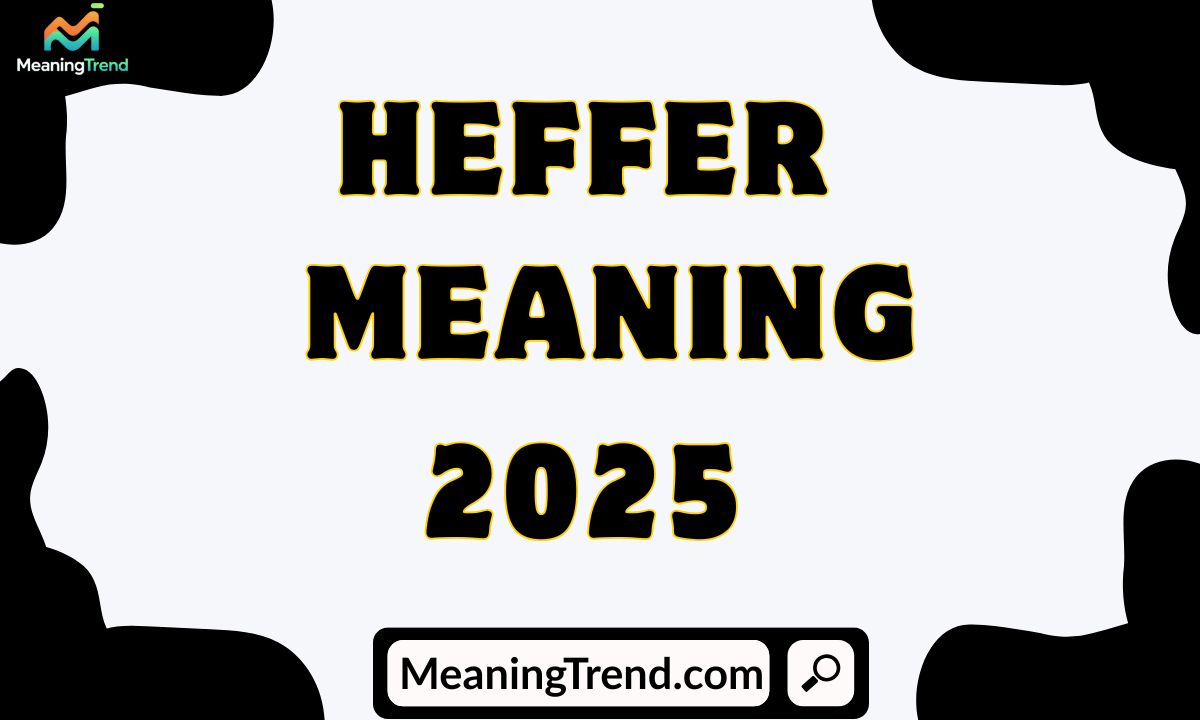 Heffer Meaning: Real Meaning, Origin, and Common Uses ...